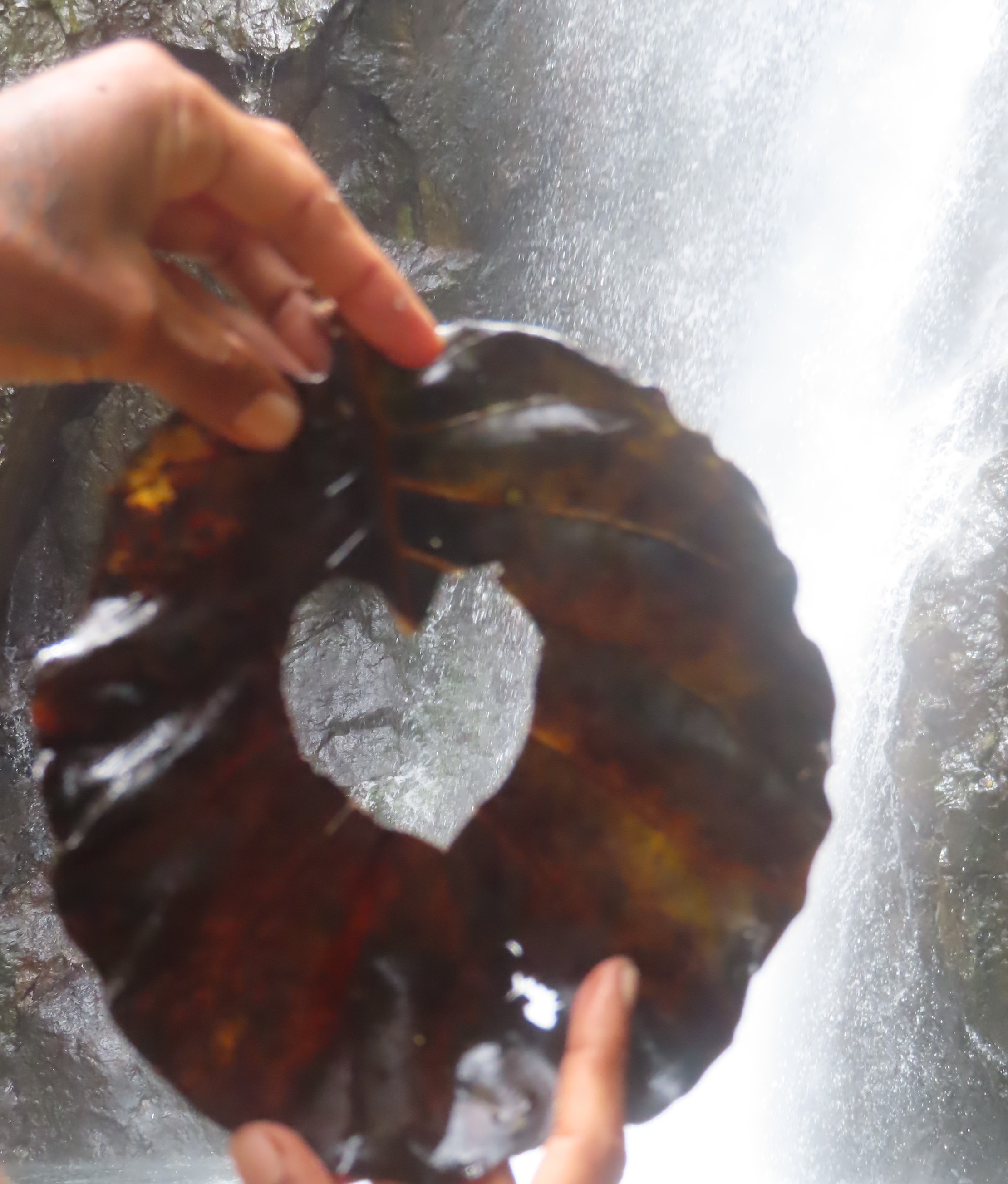 WELCOME TO CONTINUING LOVING BONDS – CONTINUING LOVING BONDS