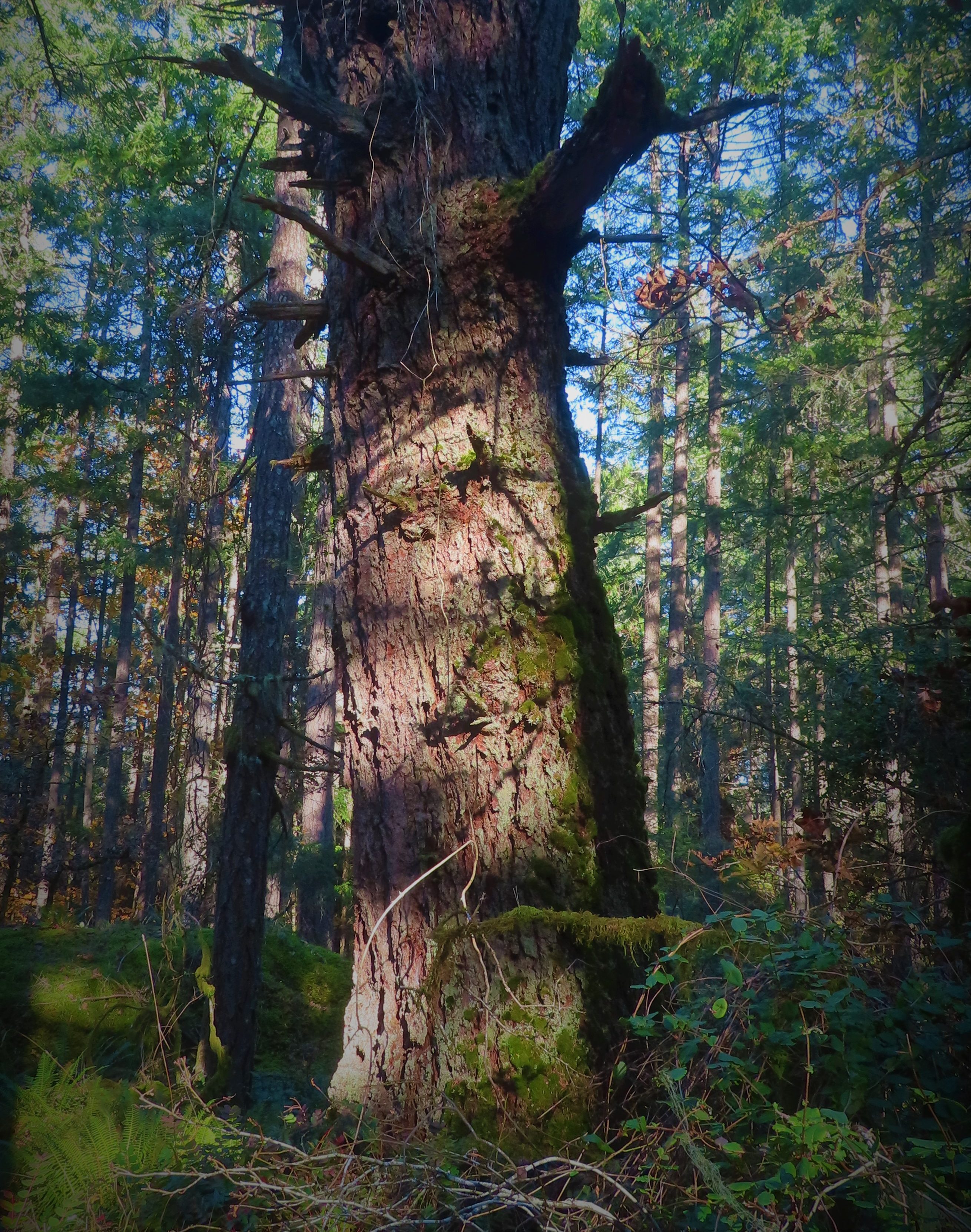 We Are Family – CONTINUING LOVING BONDS